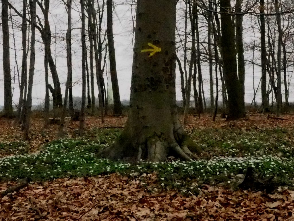 6 Via Baltica Gelber Pfeil – Weitwanderwege in Europa